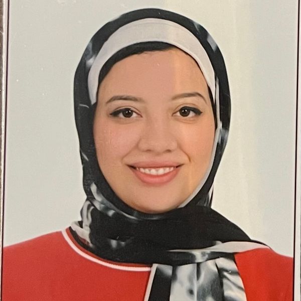 Aya mohamed ismail, Online Resume – FlowCV